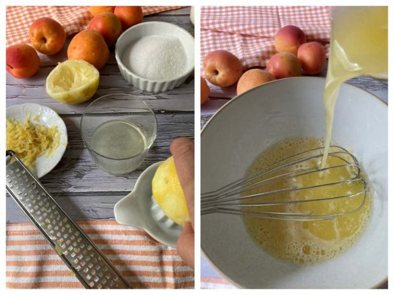 Italian Apricot Cake Recipe (with fresh Apricots) - Recipes from Italy