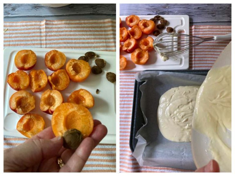 Italian Apricot Cake Recipe (with fresh Apricots) - Recipes from Italy