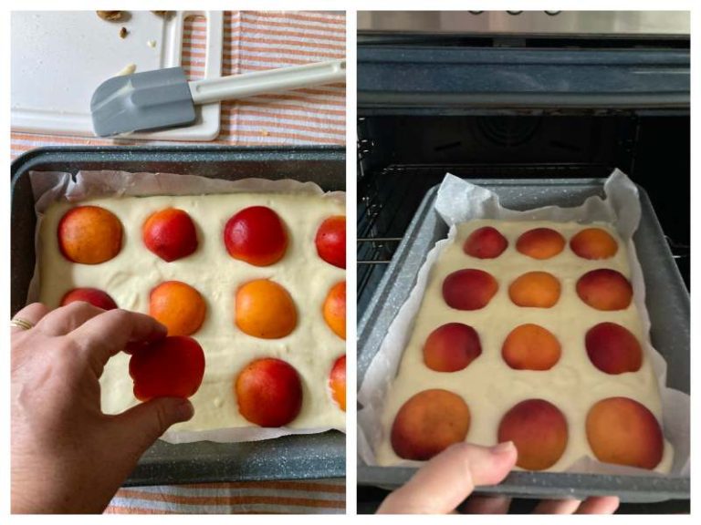 Italian Apricot Cake Recipe (with fresh Apricots) - Recipes from Italy