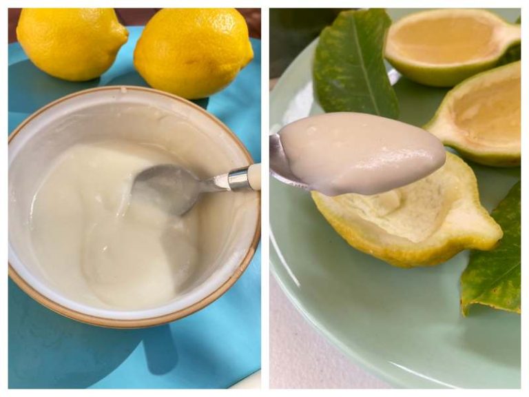Light Limoncello Custard in Lemon Shells (No Eggs & No Milk) - Recipes ...