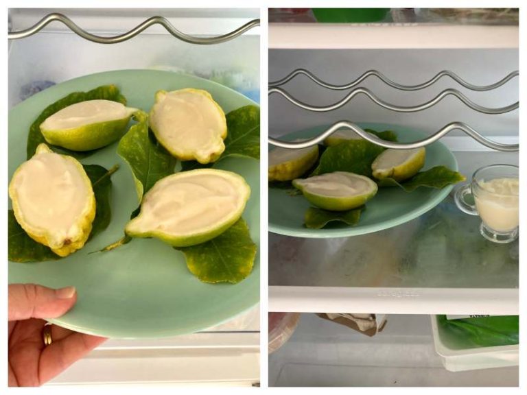 Light Limoncello Custard in Lemon Shells (No Eggs & No Milk) - Recipes ...