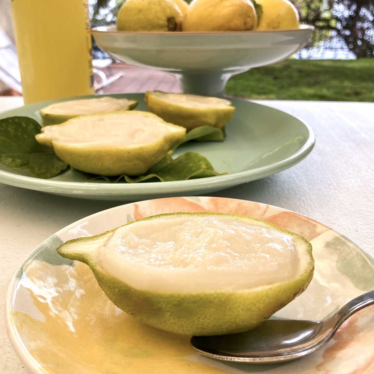 Light Limoncello Custard in Lemon Shells (No Eggs & No Milk) - Recipes ...