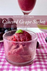 Concord Grape Sorbet (Sorbetto all'Uva Fragola) - Recipes from Italy