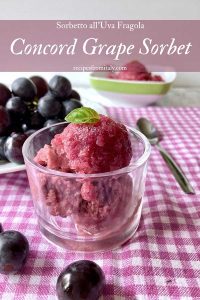 Concord Grape Sorbet (Sorbetto all'Uva Fragola) - Recipes from Italy
