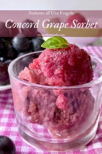 Concord Grape Sorbet (Sorbetto all'Uva Fragola) - Recipes from Italy