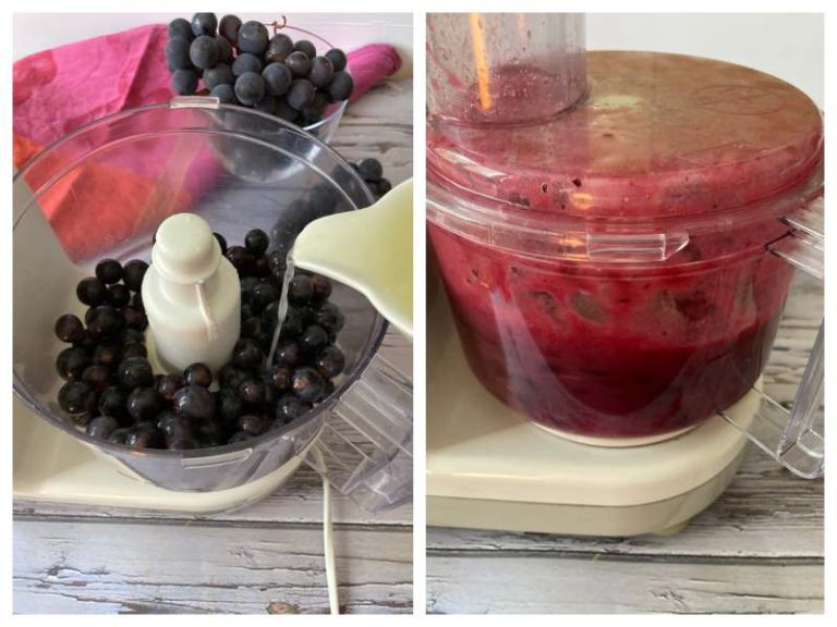 Concord Grape Sorbet (Sorbetto all'Uva Fragola) - Recipes from Italy