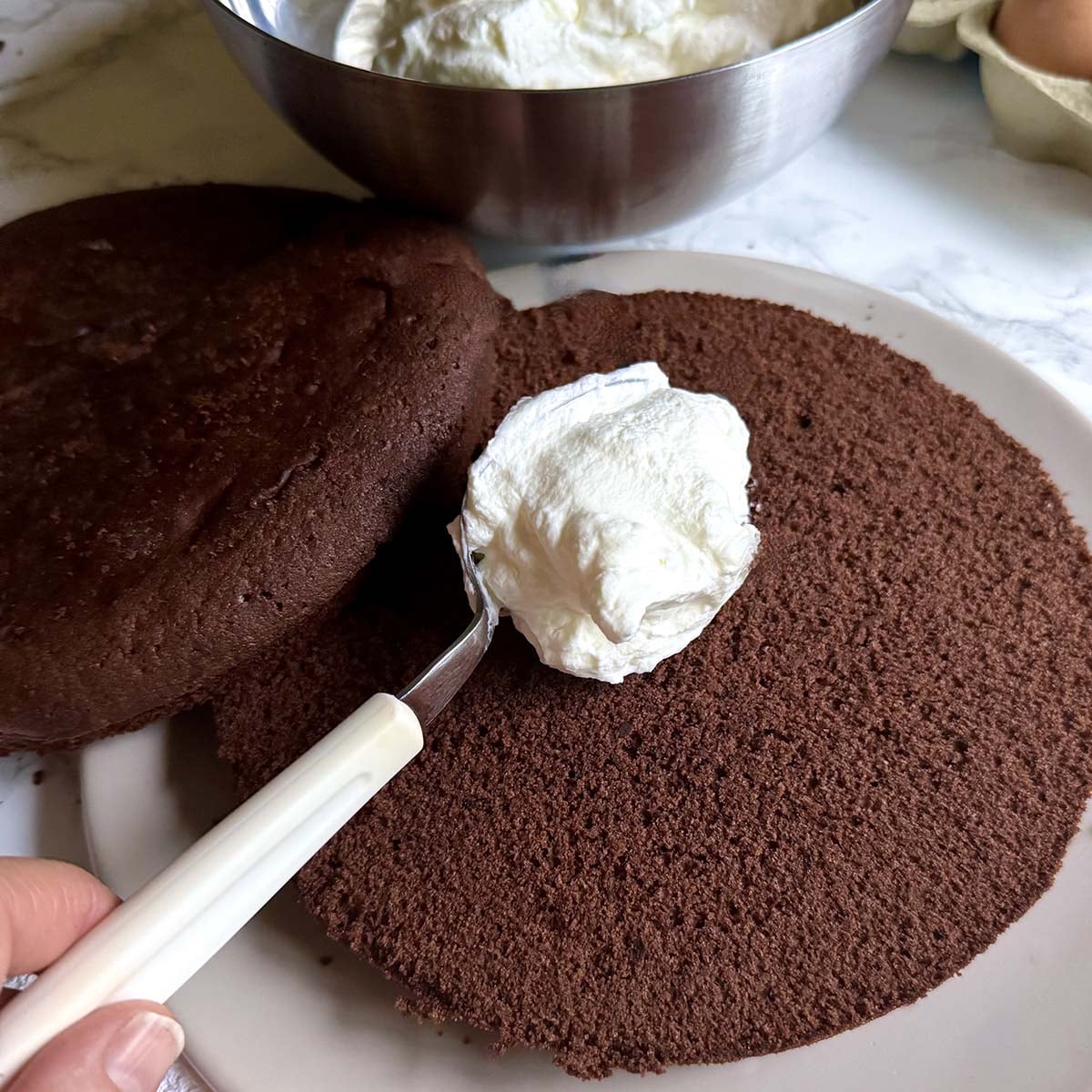 Chocolate Sponge Cake Recipe (Pan di Spagna al Cacao) - Recipes from Italy